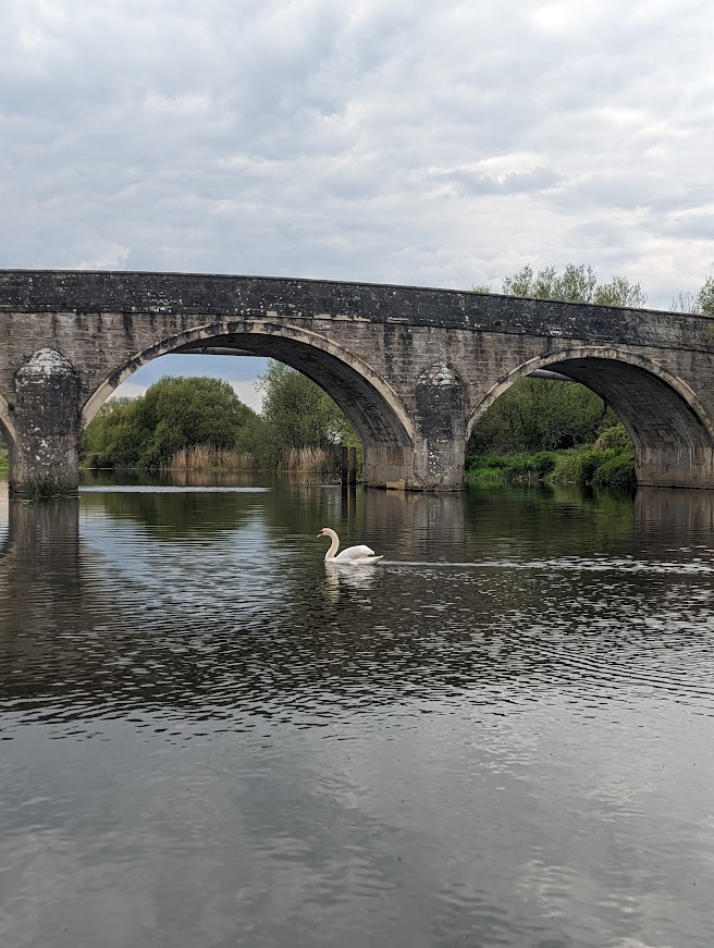 River Stour - from Christchurch or Tuckton to Iford Bridge/Weir ...
